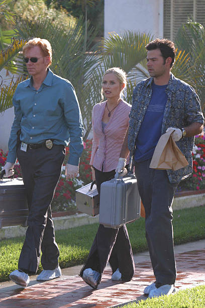 Picture of CSI: Miami