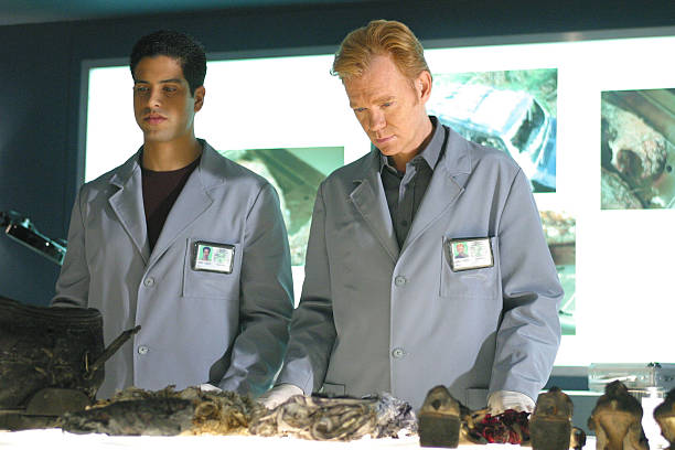 Picture of CSI: Miami