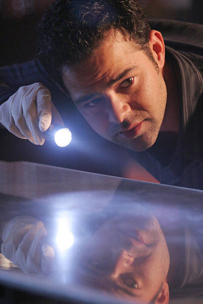 Picture of CSI: Miami