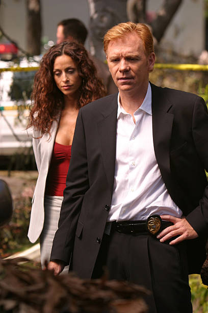 Picture of CSI: Miami