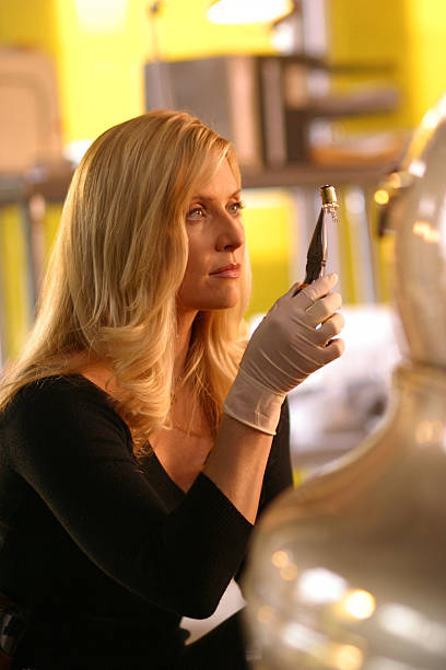 Picture of CSI: Miami