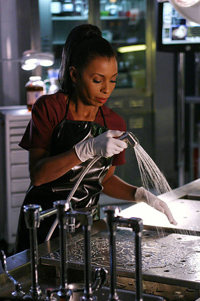 Picture of CSI: Miami