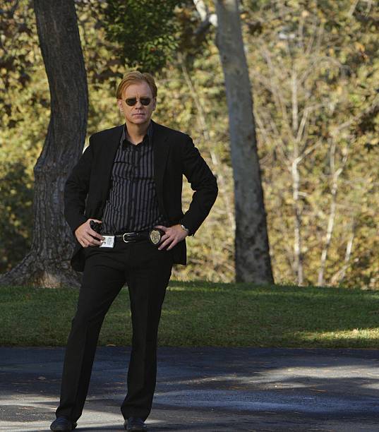 Picture of CSI: Miami