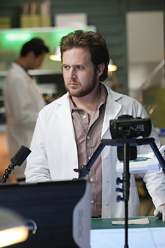 Picture of CSI: NY