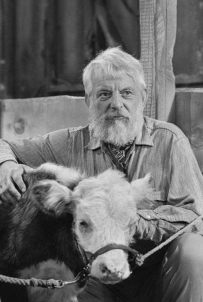 Denver Pyle