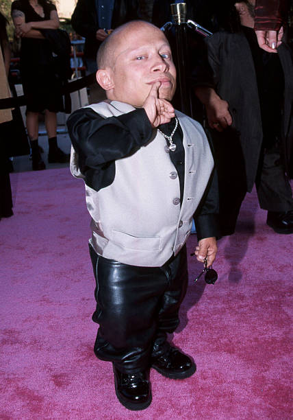 Verne Troyer