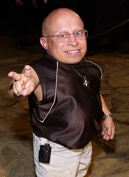 Verne Troyer