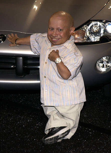 Verne Troyer