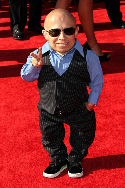 Verne Troyer