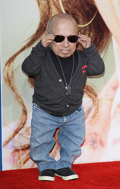 Verne Troyer