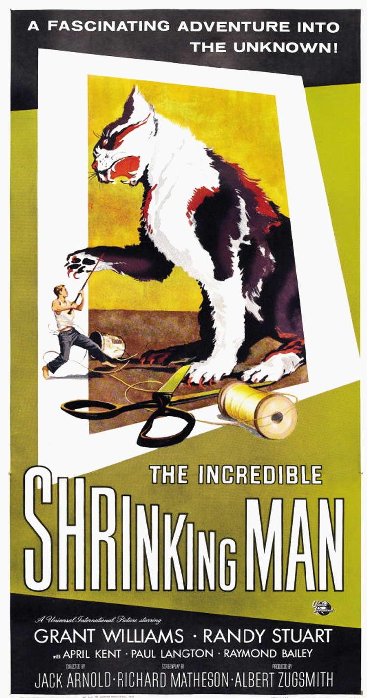 Picture of The Incredible Shrinking Man