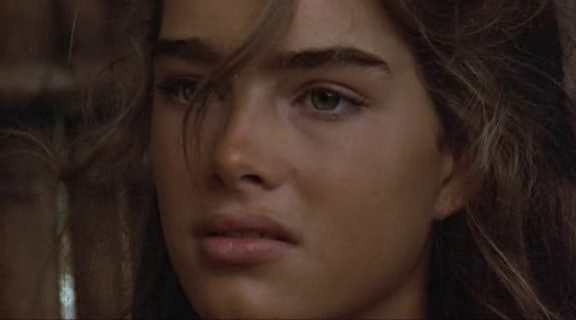 Picture of The Blue Lagoon