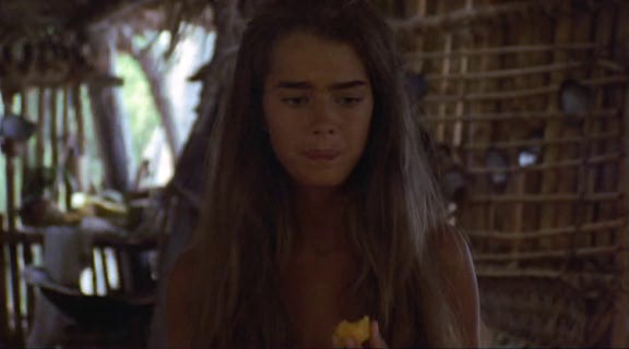 Picture of The Blue Lagoon