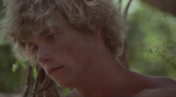 Picture of The Blue Lagoon