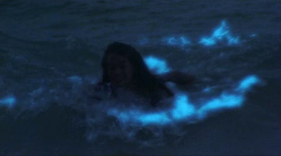 Picture of The Blue Lagoon
