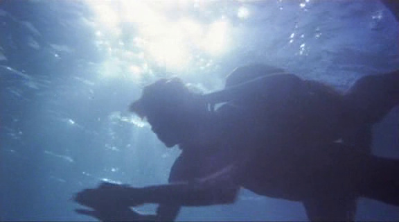 Picture of The Blue Lagoon