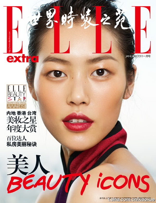 Picture of Liu Wen