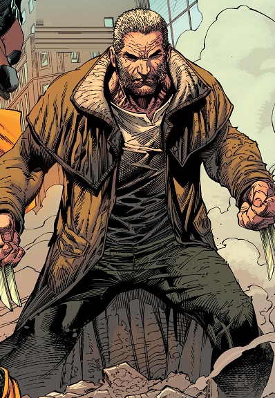 Picture of Old Man Logan