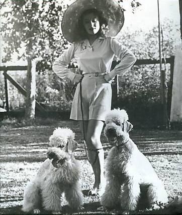 Picture of Greer Garson