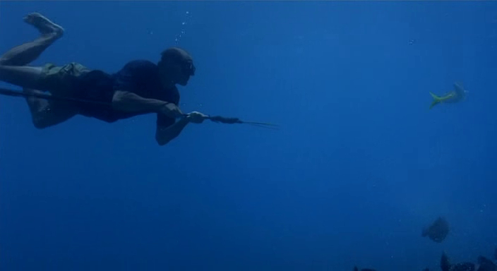 Picture of Survival Island