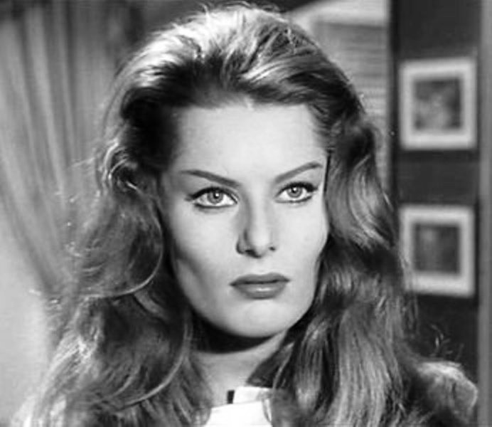 Picture of The Chasers (1959)