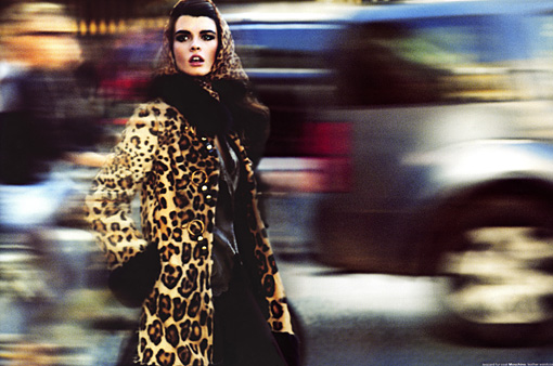 Picture of Crystal Renn