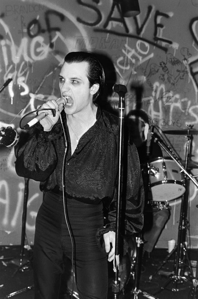 Picture of Dave Vanian