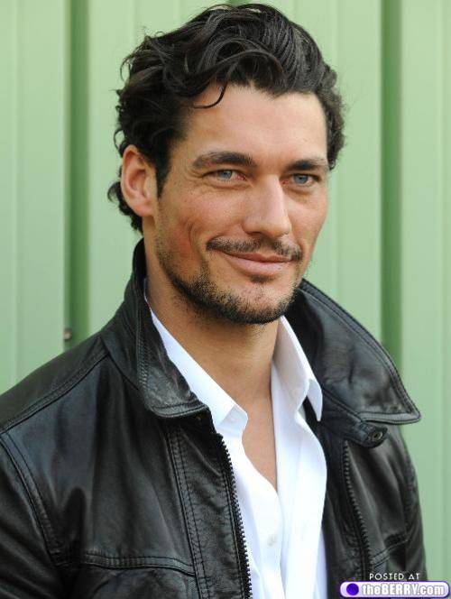 Picture of David Gandy