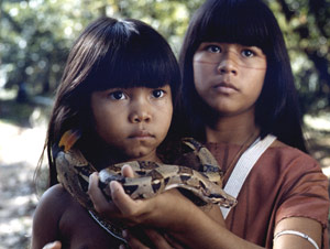 Picture of Tainá 2: A Aventura Continua