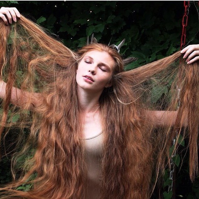 Picture of Taylor Rose