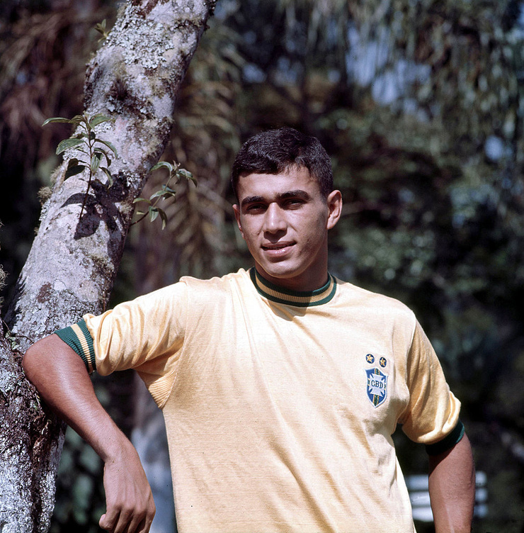 Picture of Clodoaldo