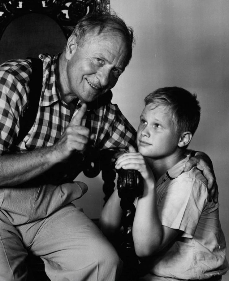 Brandon De Wilde picture