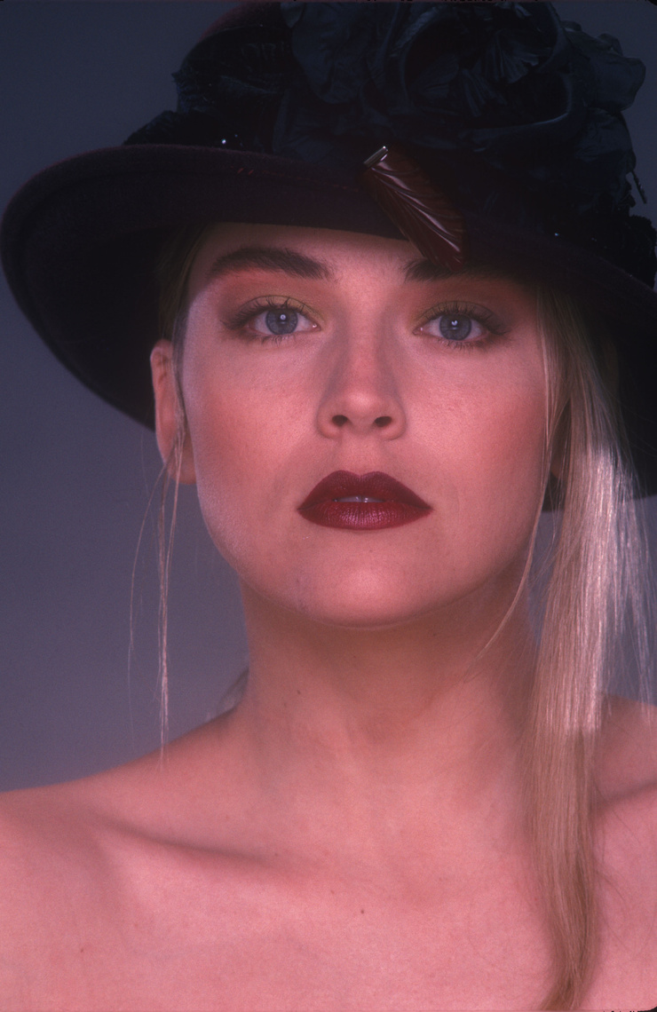 Picture of Sharon Stone