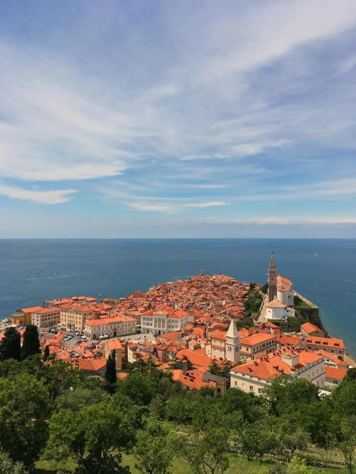 Picture of Piran