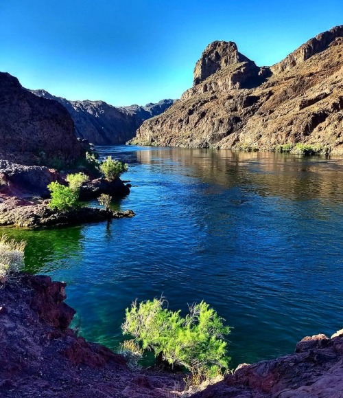 Image of Colorado River