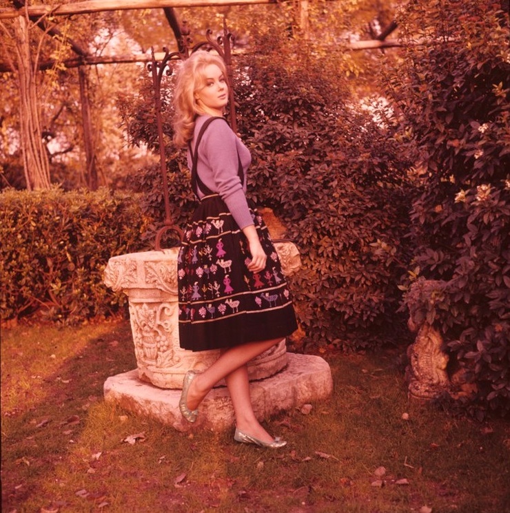 Picture of Edy Vessel