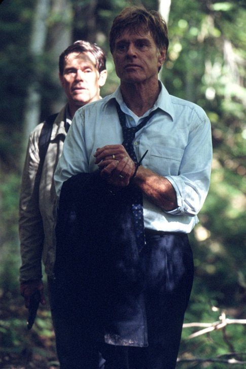 Picture of The Clearing