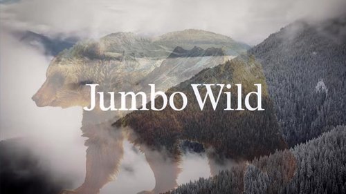 Image of Jumbo Wild