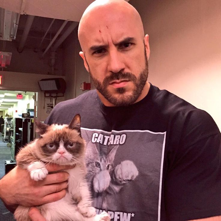 Picture of Antonio Cesaro