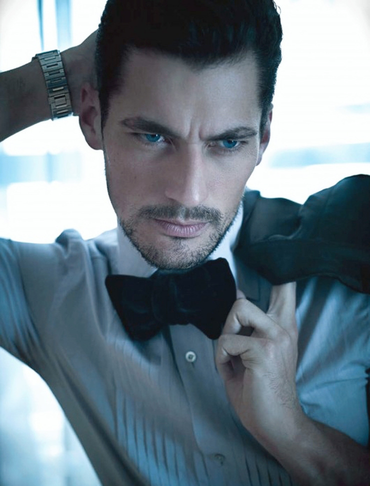David Gandy picture