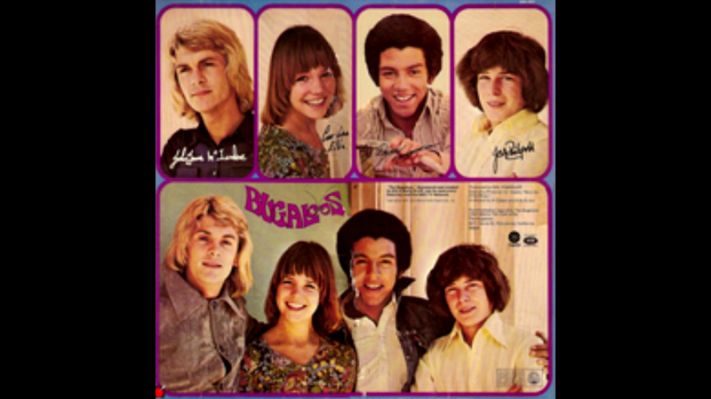 Picture of The Bugaloos