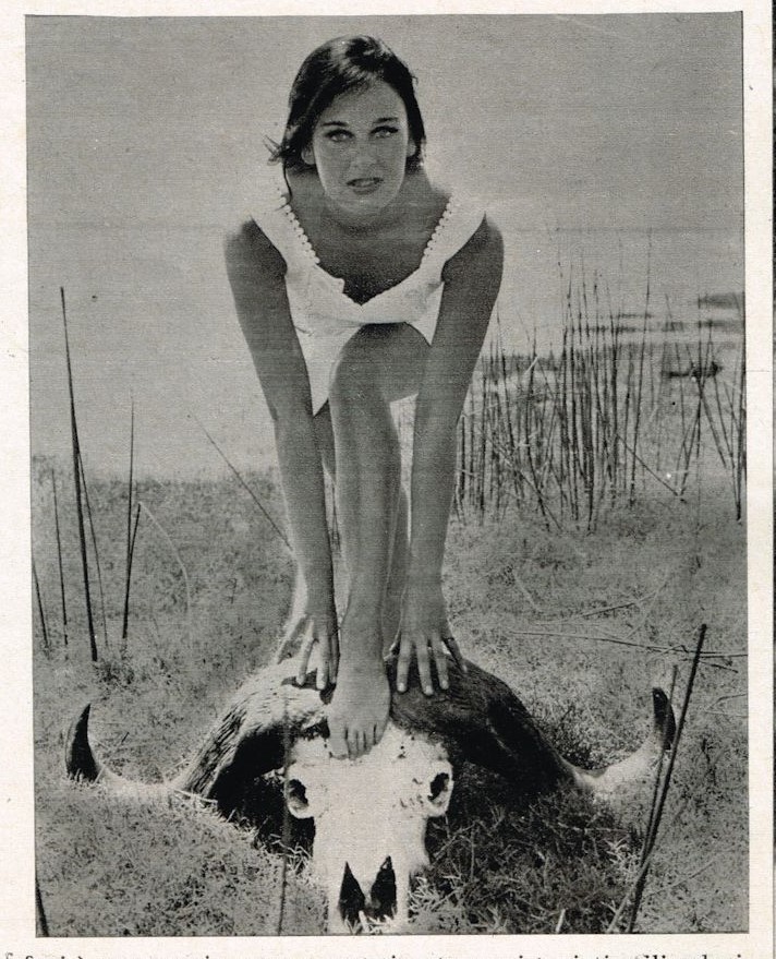 Picture of Gabriella Licudi