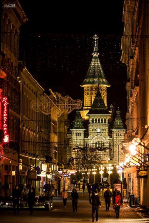 Picture of Timisoara