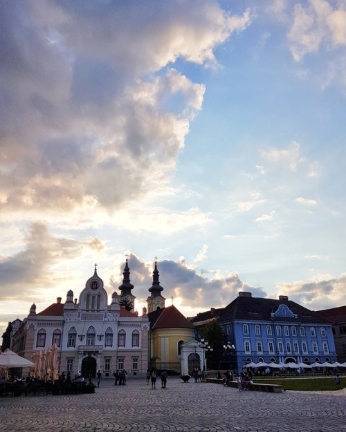 Timisoara image