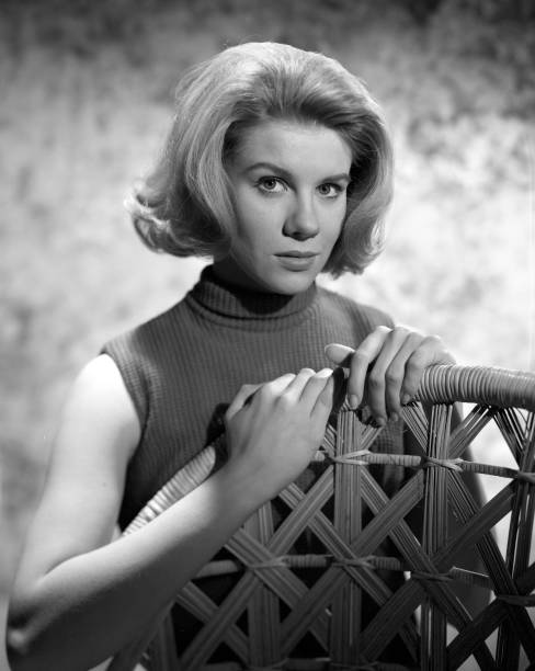 Picture of Davey Davison