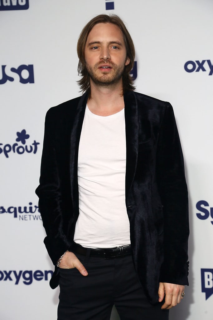 Aaron Stanford image