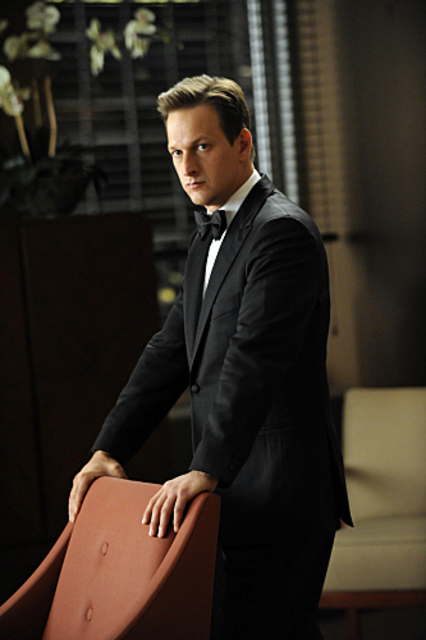 Picture of The Good Wife