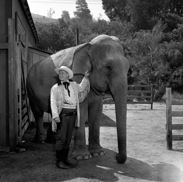 Chill Wills