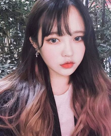 Choi Hee Chu image