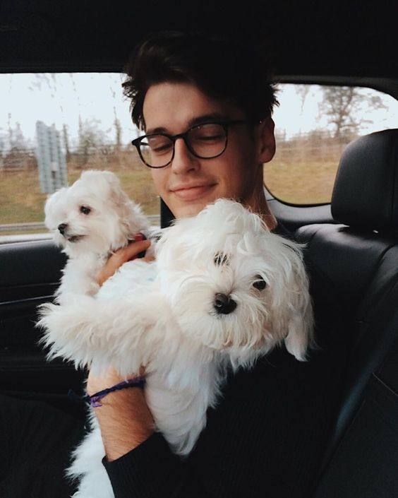 Picture of Blake Steven